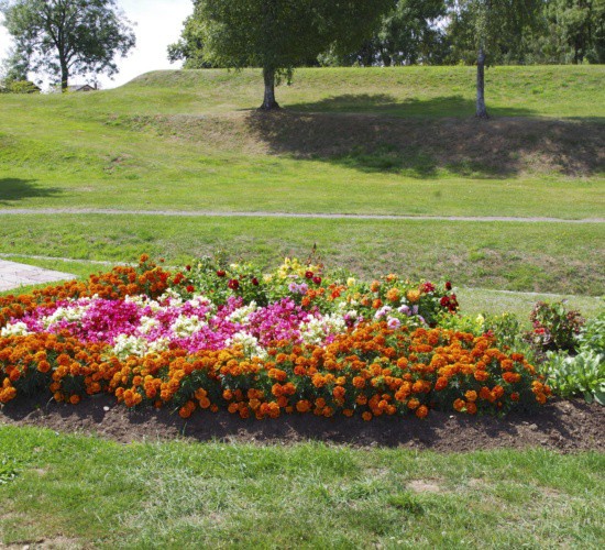 Rocroi ville - Site officiel de la mairie de la ville de Rocroi. Vous y ...